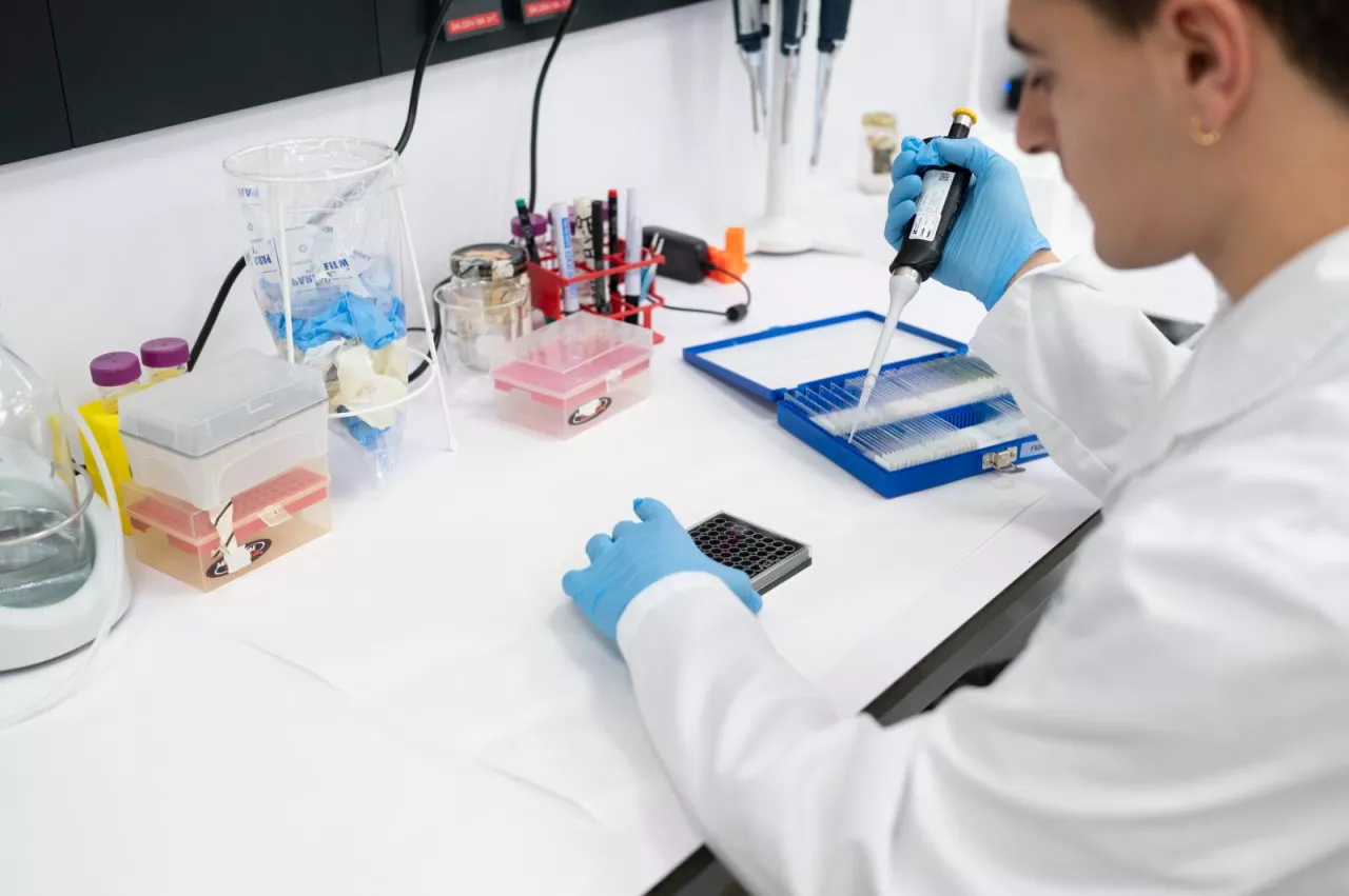 Imagen de la noticias